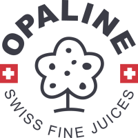 Unser Team | Opaline Factory